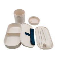 Quality Rectangle Reusable Bento Food Container Lunch Box Eco-Friendly OEM with 0-1L for sale