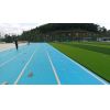 Quality 8mm 15mm 30mm Artificial Grass Drainage Underlay For Turf Shock Pad FIFA for sale