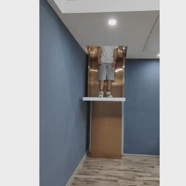 Quality More Economic Naked Cabin Hydraulic Home Elevator 0.25 M/S Speed for sale