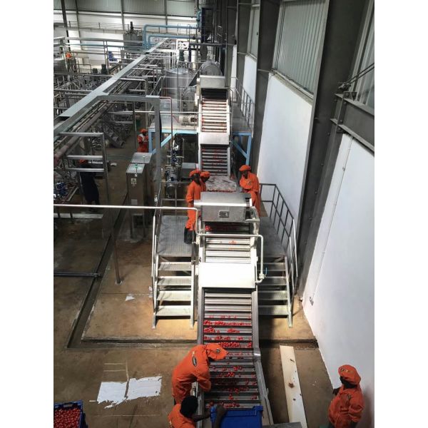Quality 2TPH Tomato Paste Processing Line for sale