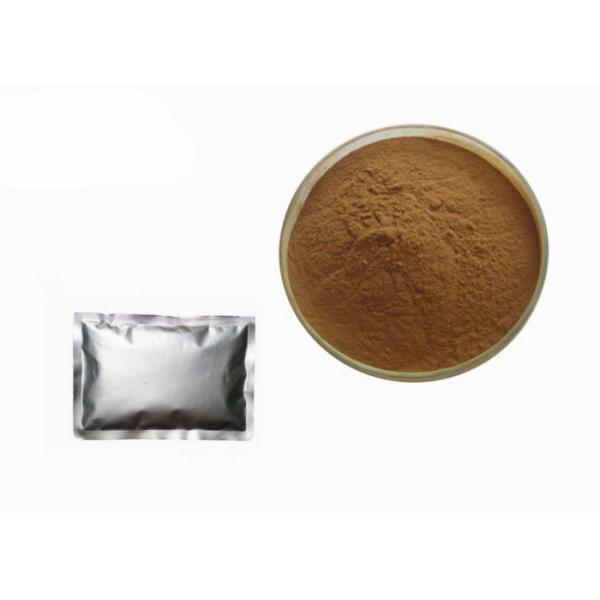 Quality Anti Fatigue Food Grade Shiitake Mushroom Extract Powder for sale