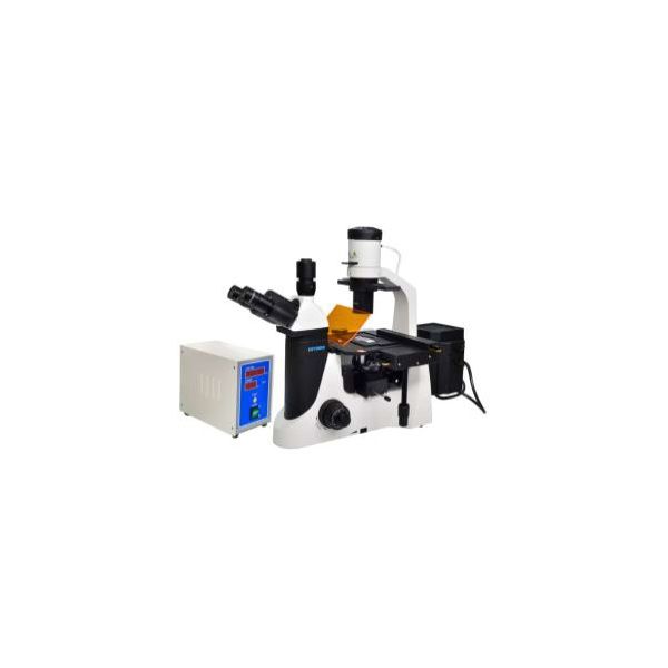 Quality Epi LED Fluorescent Microscope Trinocular 40X 1000X Biology Lab Microscope for sale