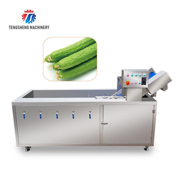 Quality 185KG Commercial fruit and vegetable washing machine stainless steel ozone disinfection bubble washing machine for sale