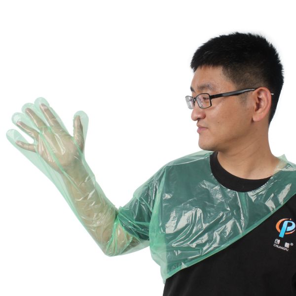Quality Veterinary Using Green PE Disposable Long Arm Gloves For Wearing Around Neck for sale