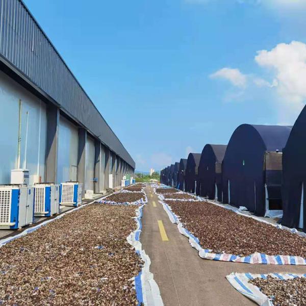 Quality Medical Planting Steel Frame Greenhouse Plastic Cover For Mushroom for sale