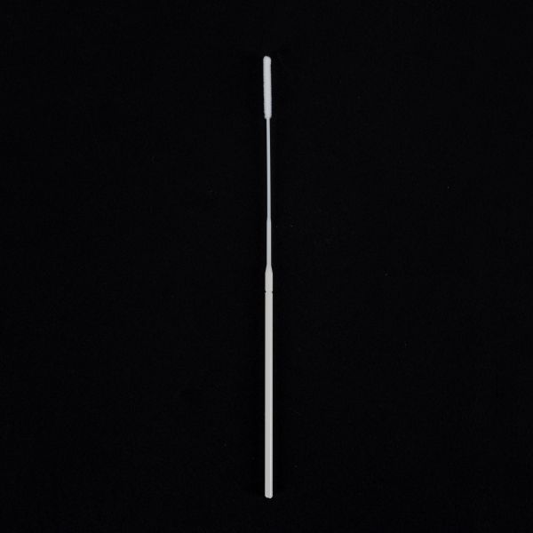 Quality flocking tip 20mm Virus Disposable Collection Swab break point 80mm for sale