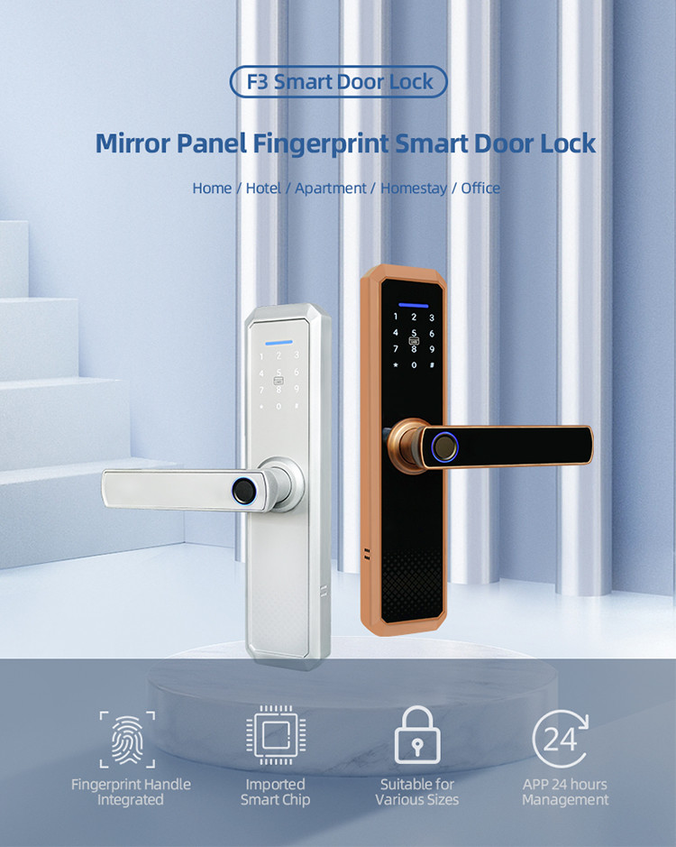 Mirror Panel Fingerprint Smart Door Locks 6V Passcode House Lock from ...