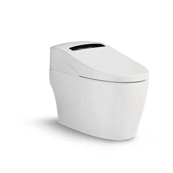 Quality Waterproof Air Purification Acrylic ABS Intelligent Flushing Toilet Seat for sale