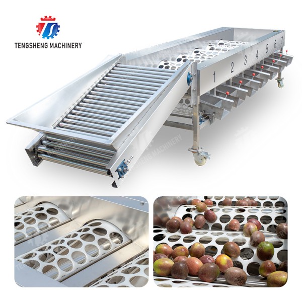 Quality Processing Production Inspecting Grading Fruit Vegetable Onions Saiko persimmon Apple Potato tangerine passion fruit avocado cherry Mango pear banana mangosteen kiwi fruit Fruit Sorting Machine for sale