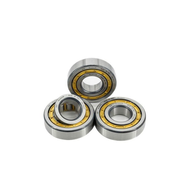 Quality Long Life N/NU/NJ/NF1010EM Cylindrical Roller Bearing 50*80*16mm Chrome Steel Gcr15 for sale