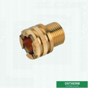 Quality Male Brass Inserts Brass Color For Ppr Fittings Customized Designs for sale