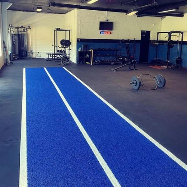 Quality 63000 Stitches/m2 Density Dorelom Indoor Gym Flooring Turf with Double PP NET for sale