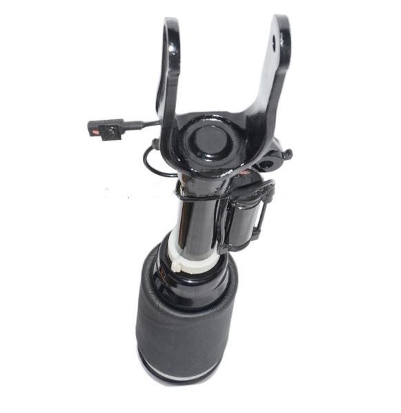 Quality Air Spring Mercedes R Class Suspension 2513205613 W251 for sale