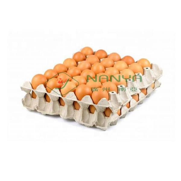 Quality Rotary Automatic Egg Tray Machine For Carton Production Industry 4000Pcs / H for sale