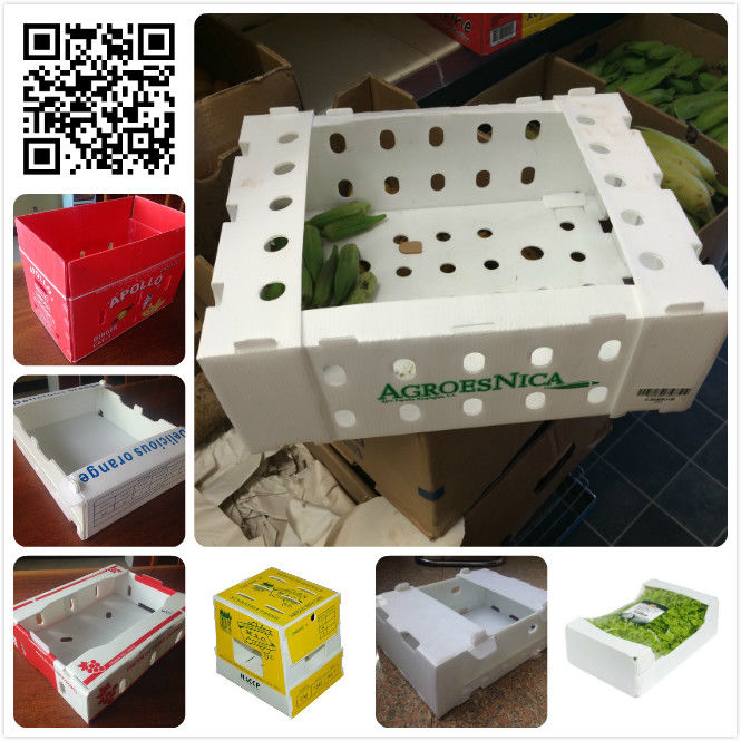 2440x1220mm 3mm 4mm polypropylene corrugated plastic sheet , Flute PP Sheet