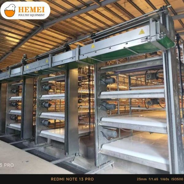 Quality Multi Tier Automatic Harvesting Broiler Cage for sale