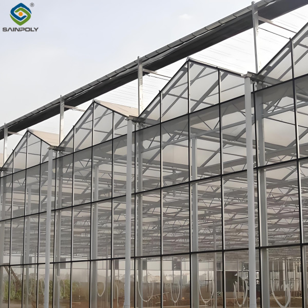 Quality Modern Venlo Greenhouse Farming Commercial Glass Greenhouse With Steel Frame for sale