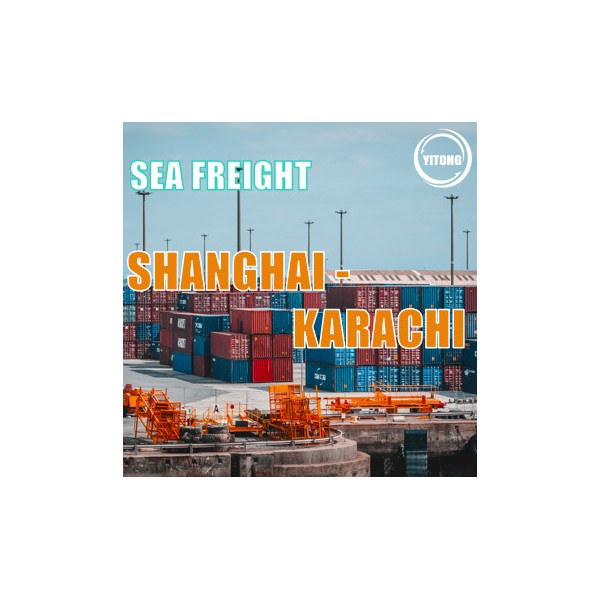Quality 17 days Global Sea Freight Service From Shanghai to Karachi Pakistan for sale