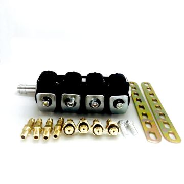 Quality Fuel Injection System LPG CNG Injector Rail 3 Ohm Resistance LN-LIG1S for sale