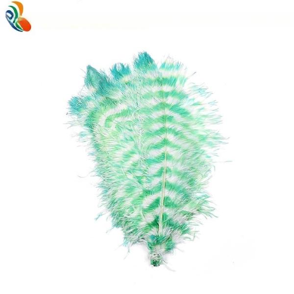 Quality Two Tones Colour Ostrich Feather Plumes 50-55cm Size for Decoration for sale