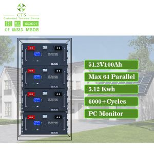 Quality Solar Energy Storage Lifepo4 48v 24v 12v Lithium Battery Pack Deep Cycle 100Ah for sale