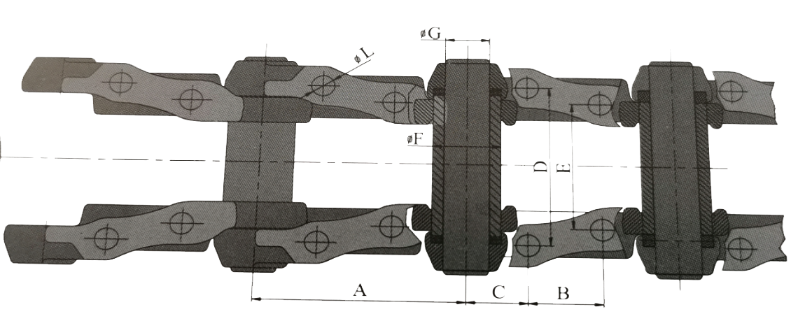 track shoe