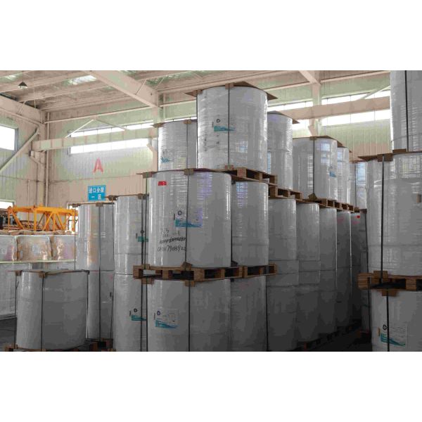 Quality BPA-Free Jumbo Thermal Paper Roll for ATM & POS Printers - Oil Resistant for sale