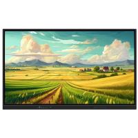 Quality 55 65 75 86 Inch IR Interactive Whiteboard 4K Touch Panel PC TV Android OPS for sale