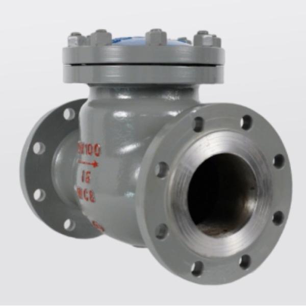 Quality Customized Color Rubber Flap Check Valve with Flange Non-Return Valve H44H-16/25C for sale