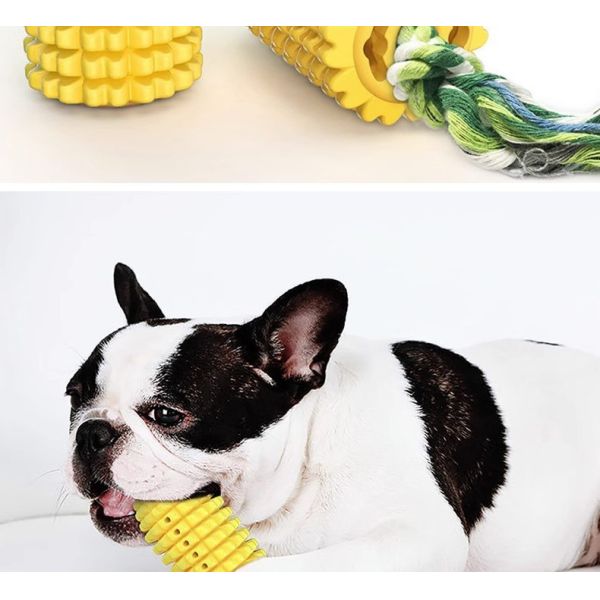 Quality Eco Friendly Dog Treat Dispensing Toy Latex Dog Toothbrush Chew Toy With Cotton Rope for sale