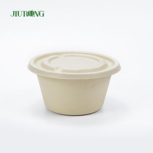 Quality Eco Friendly Sugarcane Food Container Biodegradable Bagasse Takeaway Boxes 600ml for sale
