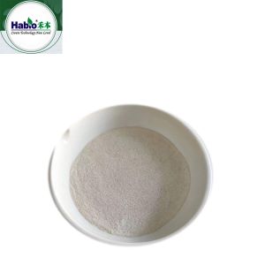 Quality Lipase Enzyme for sale