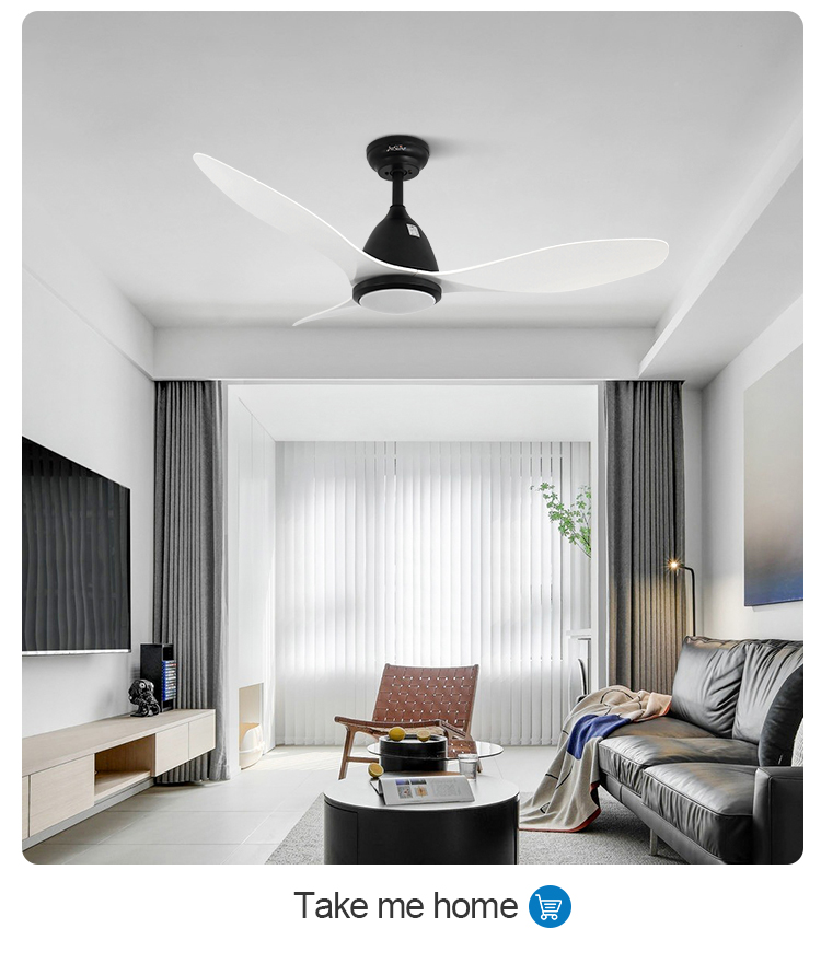 ceiling fan