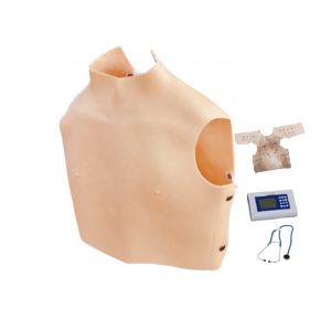 china Patients Care Demonstration Cardiopulmonary Auscultation Simulator with Advanced