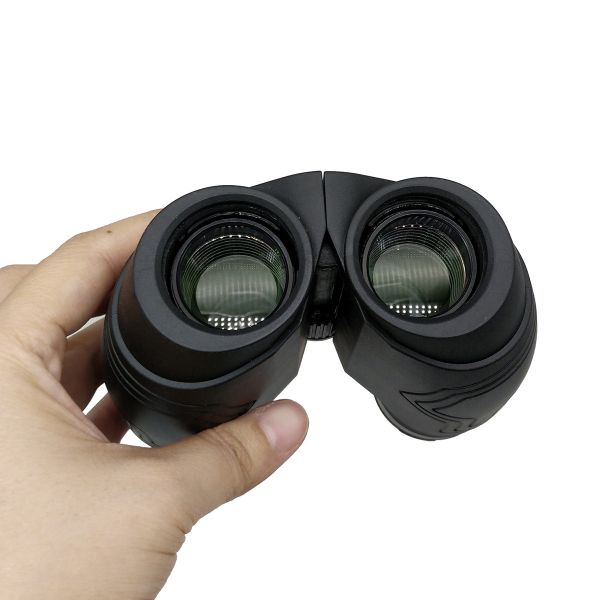Quality Compact 10x25 Easy Focus Binoculars Low Light Night Vision Clear For Bird for sale