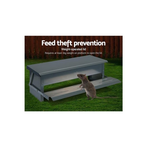 Quality Easy Assemble 51x21cm Rustproof Poultry Auto Feeder for sale