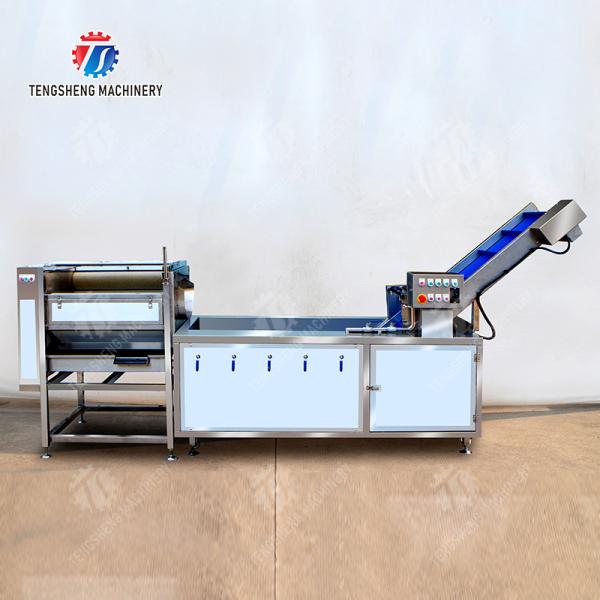 Quality Citrus cleaning production line Fruit Orange Wash Washer Washing Cleaning Dryer for sale