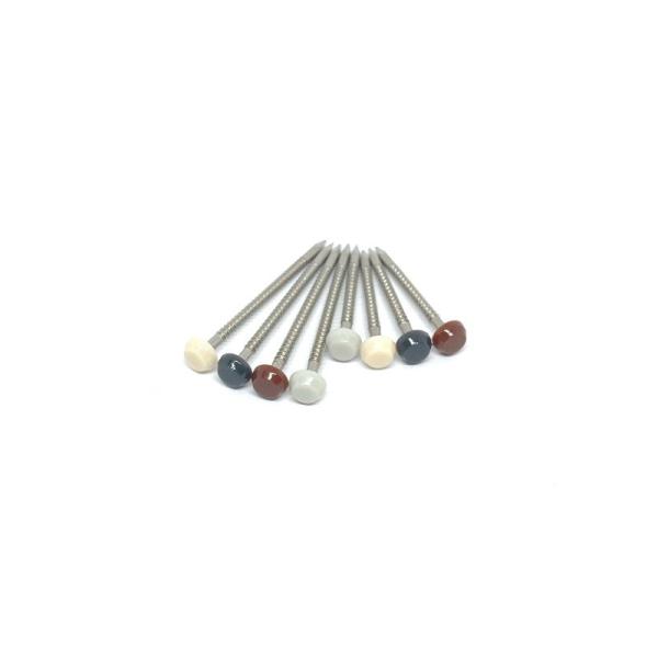 Quality 2.0MM Wire Diameter Plastic Head 316 Stainless Steel Nails for sale