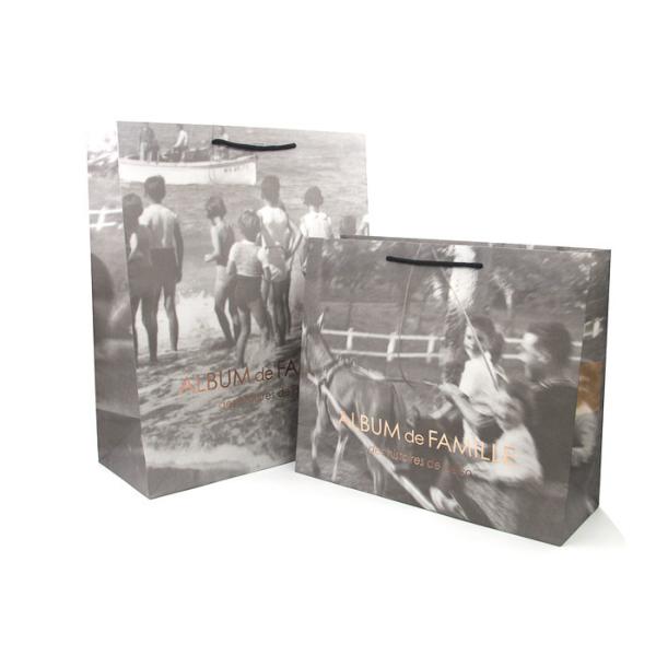 Quality Fancy Personalised Paper Bags /  Printed Paper Carrier Bags Offset Printing for sale