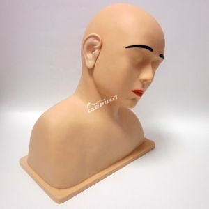 china Human Life Size Vivid Ear Model The Ultimate Tool for Ear Irrigation Training