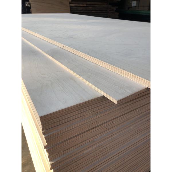 Quality Cabinets Hardwood Veneer Plywood Durable With Phenolic Adhesive for sale