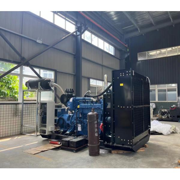Quality 50hz 60hz Soundproof Container Open Type Continuous 200KW 250KVA LPG Powered for sale