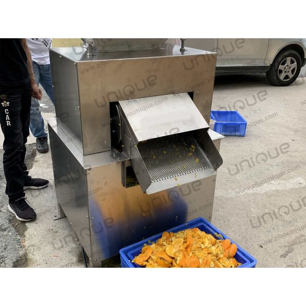Quality Automatic Stainless Steel 304 Electric Fruit Extractor for Pineapple Tomato for sale