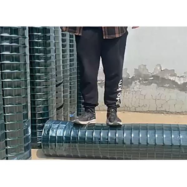 Quality Custom PVC Plastic Coated Welded Wire Mesh For Fence Electro Galvanized for sale