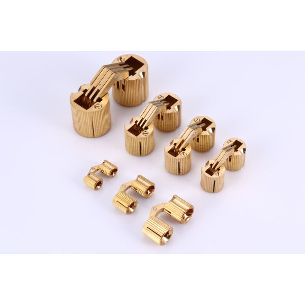 Quality Wear Resistant Concealed Invisible Hinges Antiwear Waterproof for sale