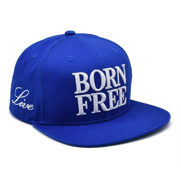 Quality BSCI Factory Custom Hat Snapback 3d Embroidery Snap Back Caps for sale