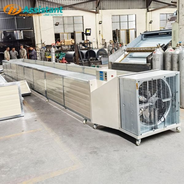 Quality Raw Material Tea Withering Machine DL-6CWD-1090 with Warm Wind and Cooling for sale