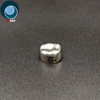 Quality Dental Crown For Adults And Children Stainless Steel for sale