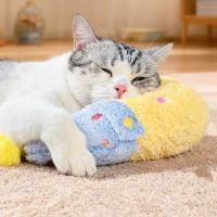 Quality Toy/Pet/Outdoor Products for sale