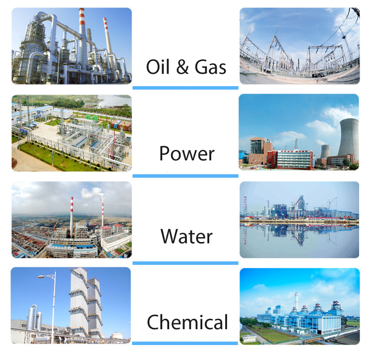 application-check-valve